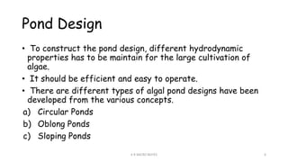 Large cultivation of algae in Pond Design | PPTX