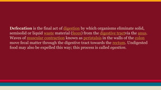 Large intestine | PPTX