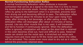 Large intestine | PPTX