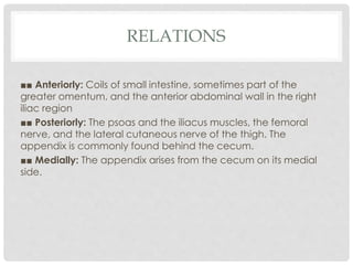Large intestine | PPTX