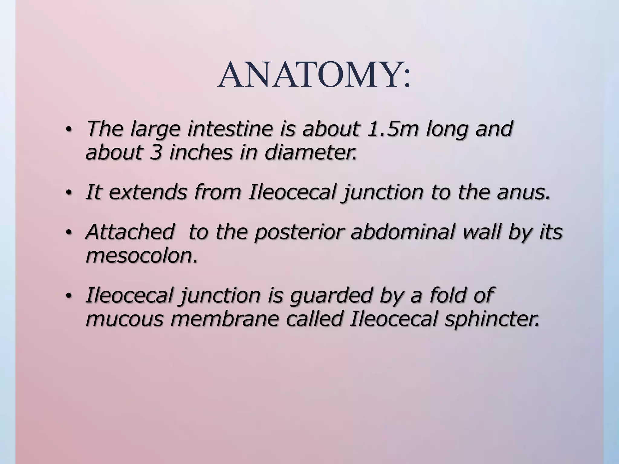 Large intestine | PPTX