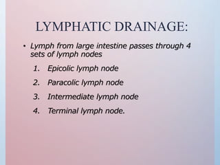 Large intestine | PPTX
