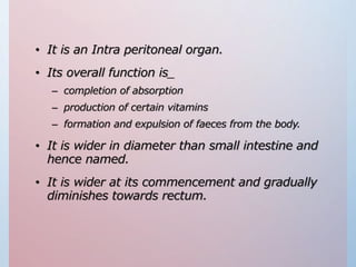 Large intestine | PPTX