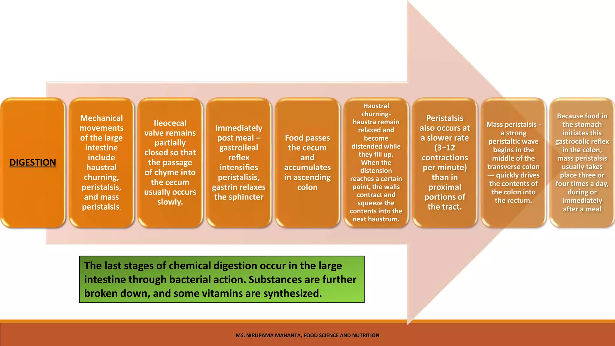 Large intestine | PPTX