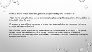 LARGE INTESTINE.pptx