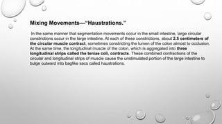 LARGE INTESTINE.pptx