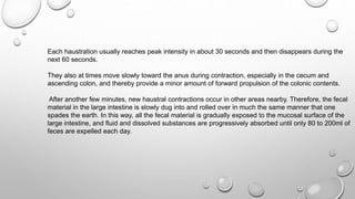 LARGE INTESTINE.pptx