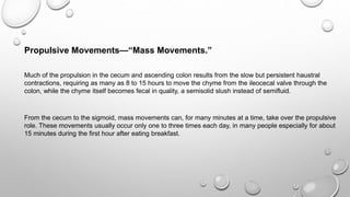 LARGE INTESTINE.pptx