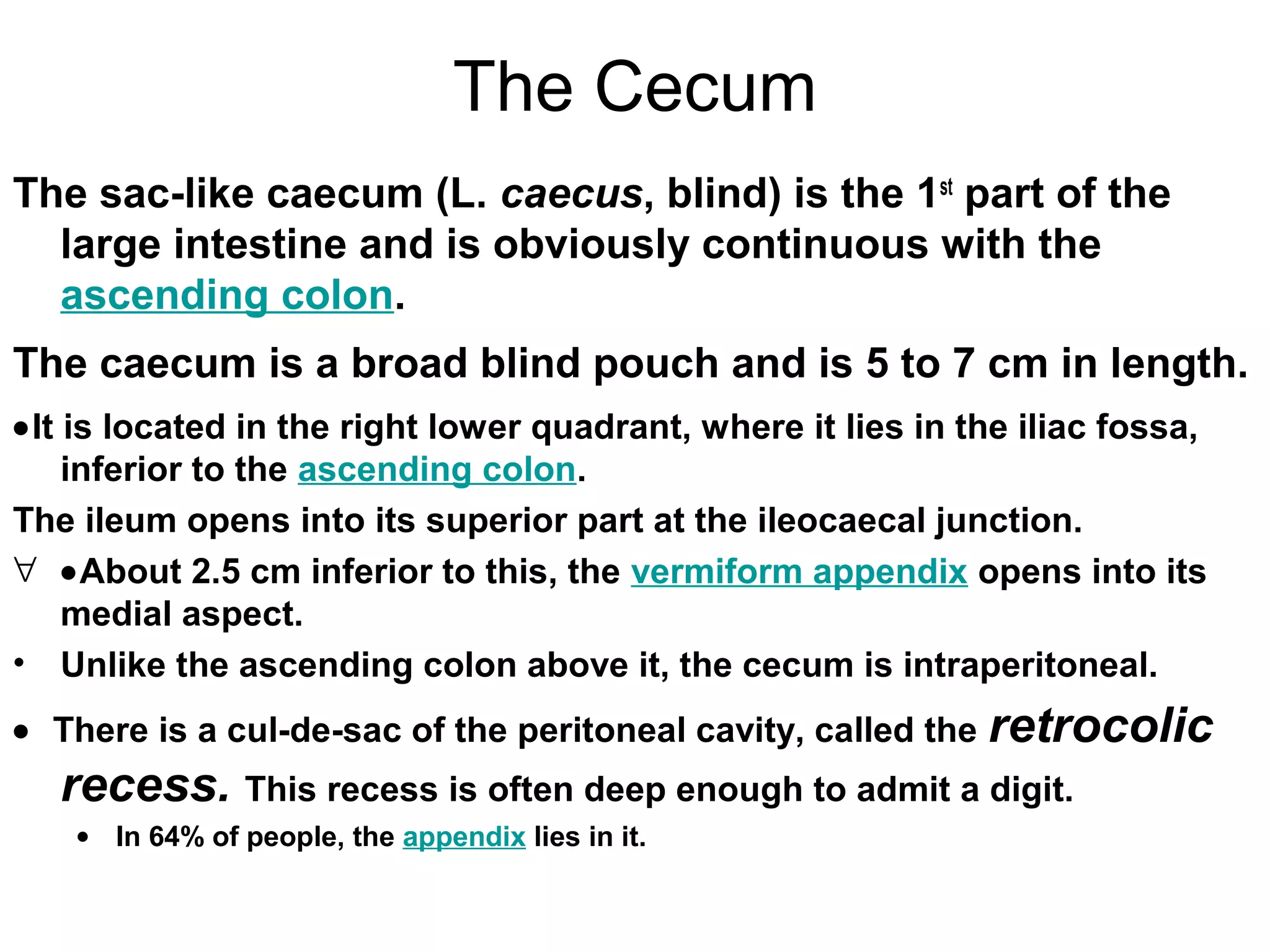 Large intestine .pdf