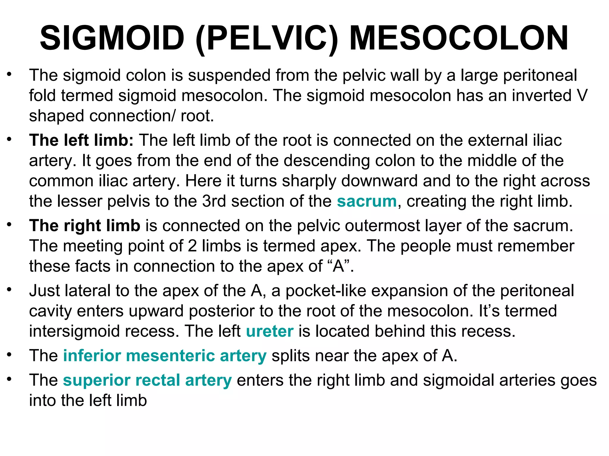Large intestine .pdf