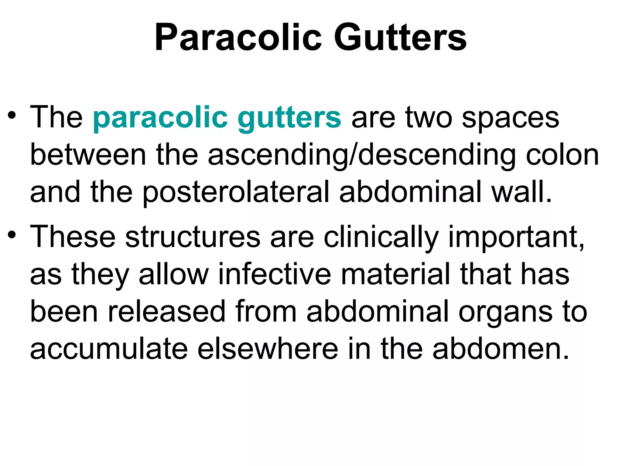 Large intestine .pdf