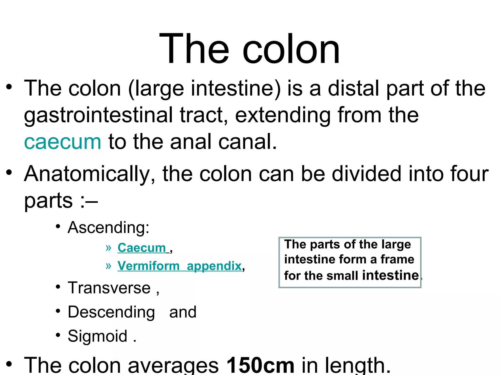Large intestine .pdf