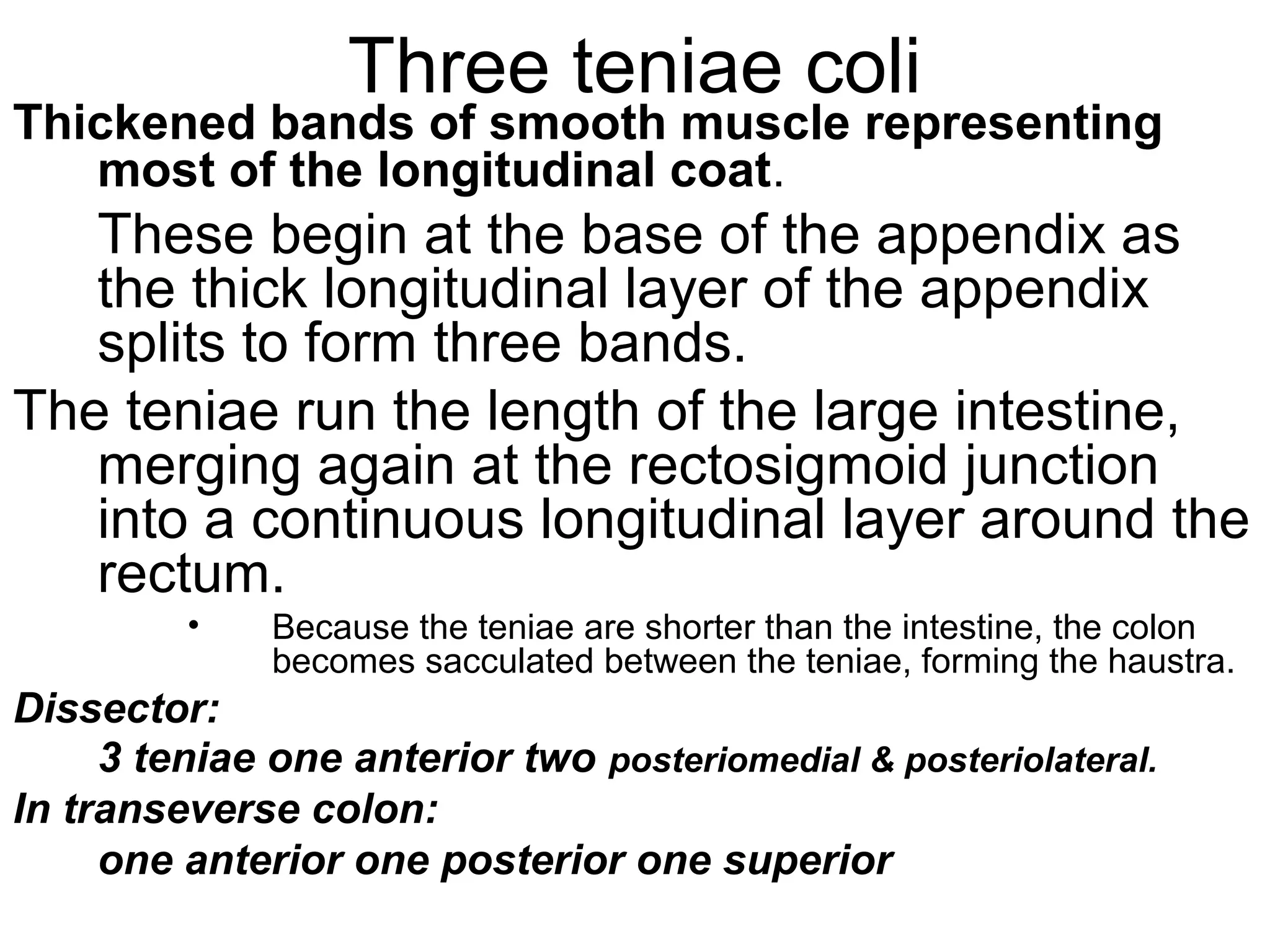 Large intestine .pdf
