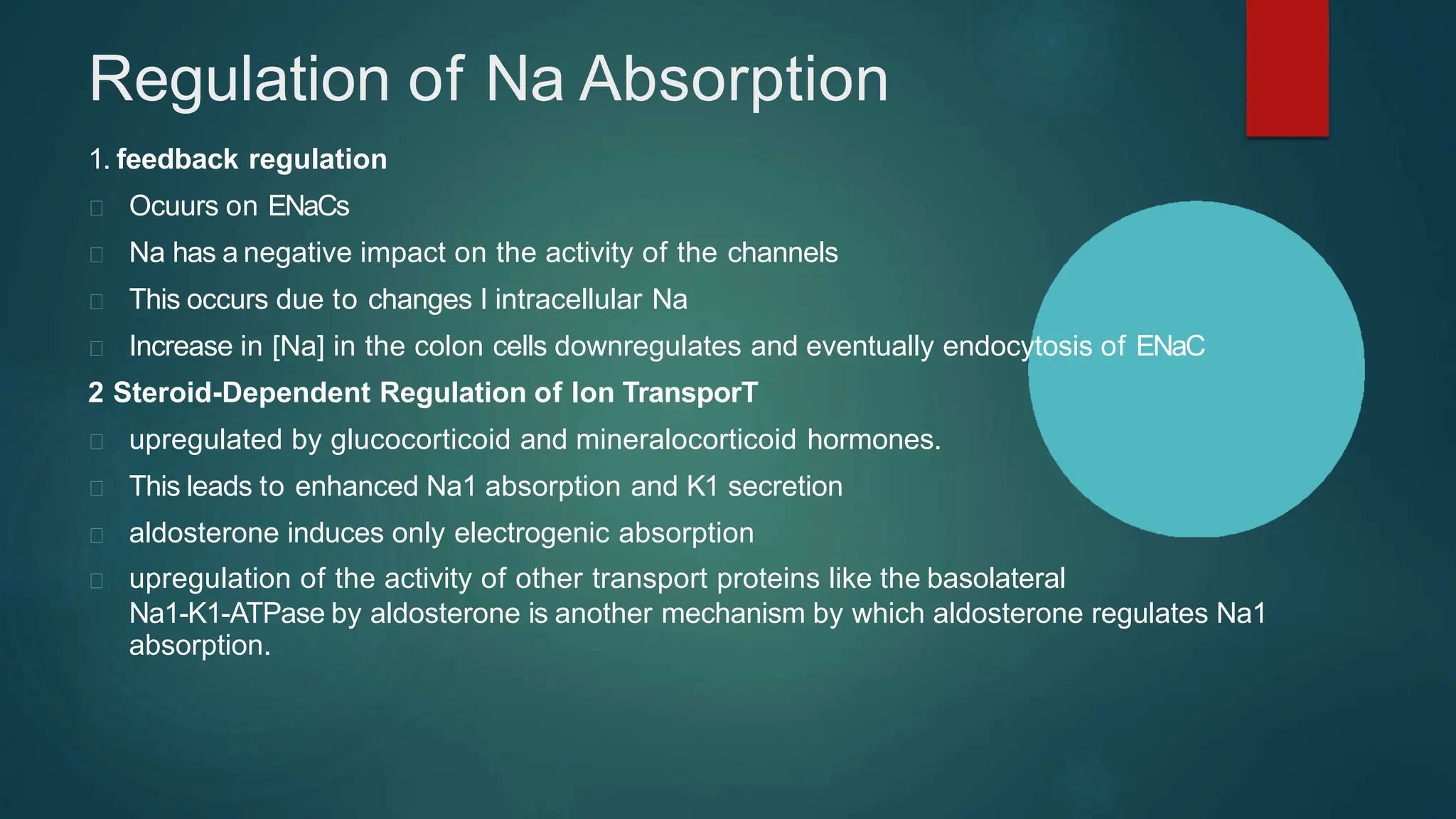 large intestine disorders signs and anatomy | PPTX