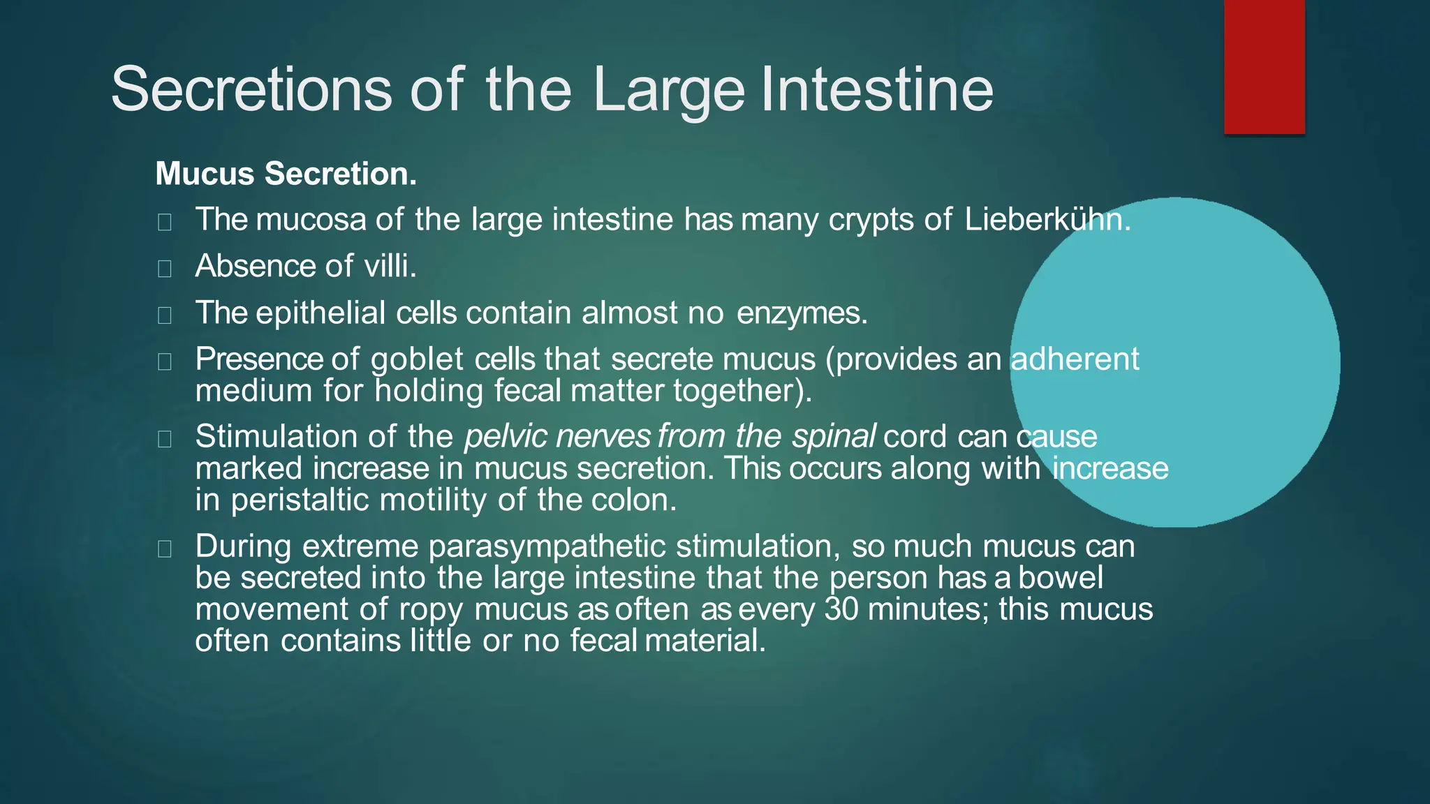 large intestine disorders signs and anatomy | PPTX