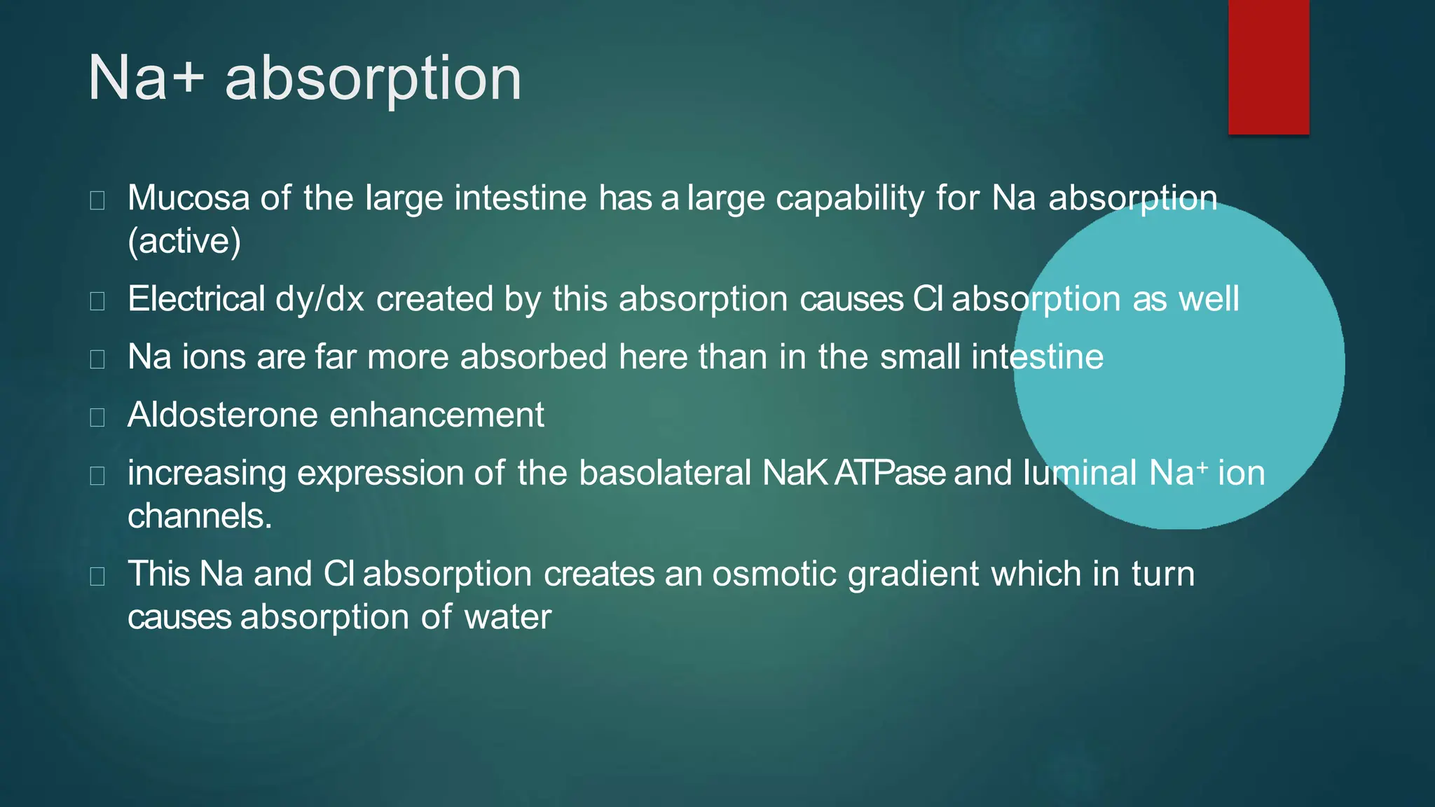 large intestine disorders signs and anatomy | PPTX