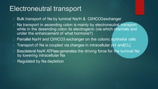 large intestine disorders signs and anatomy | PPTX