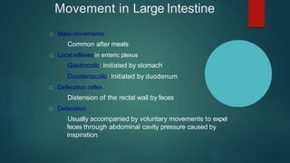 large intestine disorders signs and anatomy | PPTX