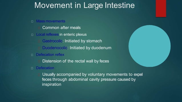 large intestine disorders signs and anatomy | PPTX