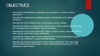 large intestine disorders signs and anatomy | PPTX