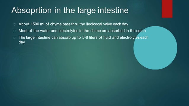 large intestine disorders signs and anatomy | PPTX