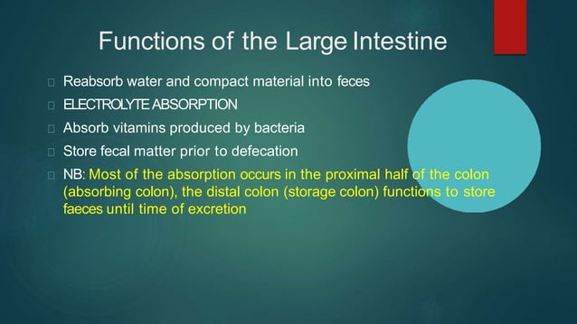 large intestine disorders signs and anatomy | PPTX