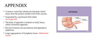 Anatomy of the human Large intestine.pptx