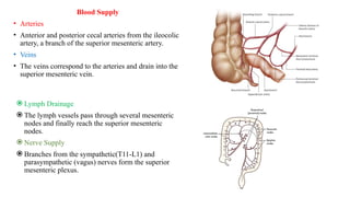 Anatomy of the human Large intestine.pptx