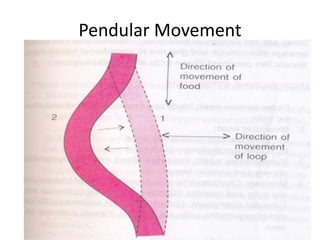 Large intestine by Pandian M | PPTX