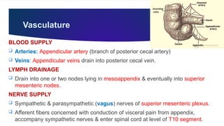 Large Intestine by Dr. Rabia Inam Gandapore.pptx