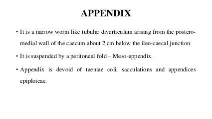 Large intestine , Caecum and Appendix.pptx | Digestive Disorders ...