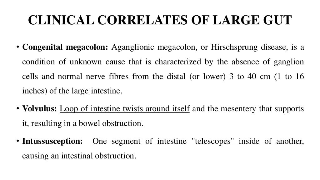 Large intestine , Caecum and Appendix.pptx
