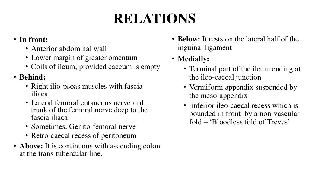 Large intestine , Caecum and Appendix.pptx