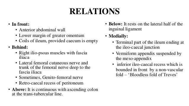 Large intestine , Caecum and Appendix.pptx | Digestive Disorders ...