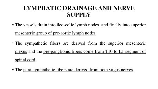 Large intestine , Caecum and Appendix.pptx | Digestive Disorders ...