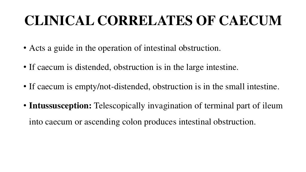 Large intestine , Caecum and Appendix.pptx