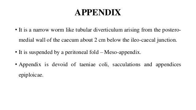 Large intestine , Caecum and Appendix.pptx | Digestive Disorders ...