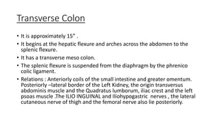 Large intestine dr kakande.pptx