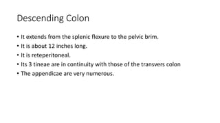 Large intestine dr kakande.pptx
