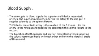 Large intestine dr kakande.pptx