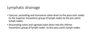 Large intestine dr kakande.pptx