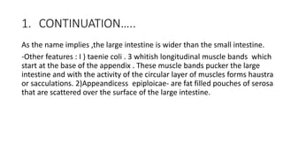 Large intestine dr kakande.pptx