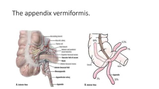 Large intestine dr kakande.pptx