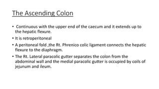 Large intestine dr kakande.pptx