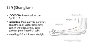 Large Intestine meridian introduction, pathway and indications.pptx