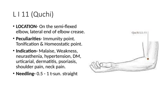 Large Intestine meridian introduction, pathway and indications.pptx