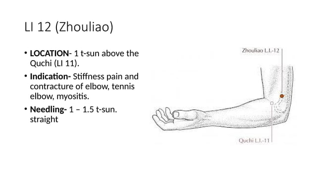 Large Intestine meridian introduction, pathway and indications.pptx
