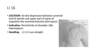 Large Intestine meridian introduction, pathway and indications.pptx