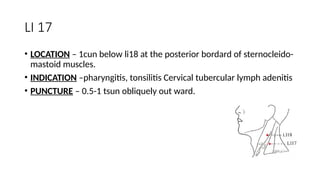 Large Intestine meridian introduction, pathway and indications.pptx