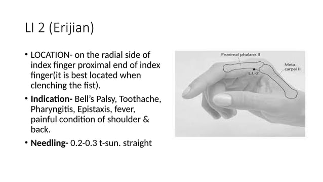 Large Intestine meridian introduction, pathway and indications.pptx
